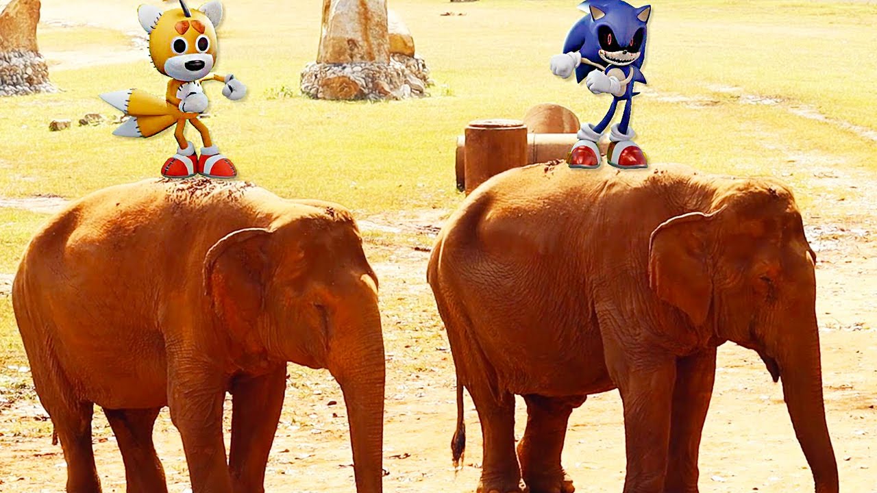 Sonic and Tails dancing on elephants - YouTube