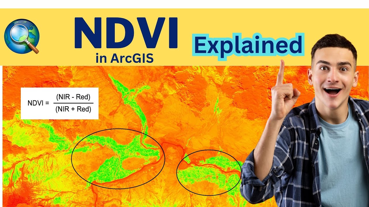 NDVI Explained - YouTube