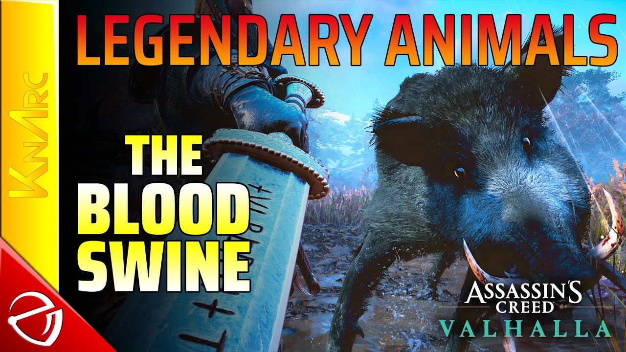 Assassin's Creed: Valhalla - Legendary Animals - The Blood Swine - YouTube