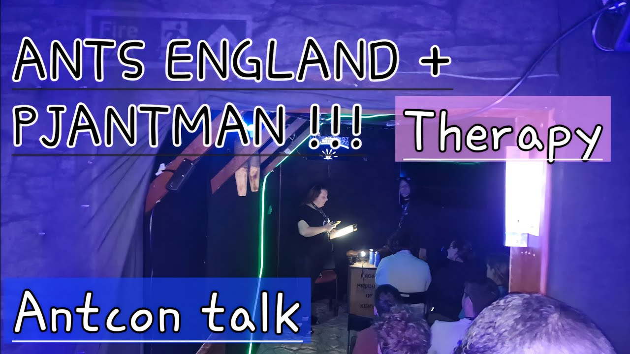 The One And Only Ants England and PjAnts @ AntCon 2025 - YouTube