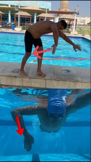 Freestyle Swimming Technique Pull Correctly and Get a Strong Stroke ...