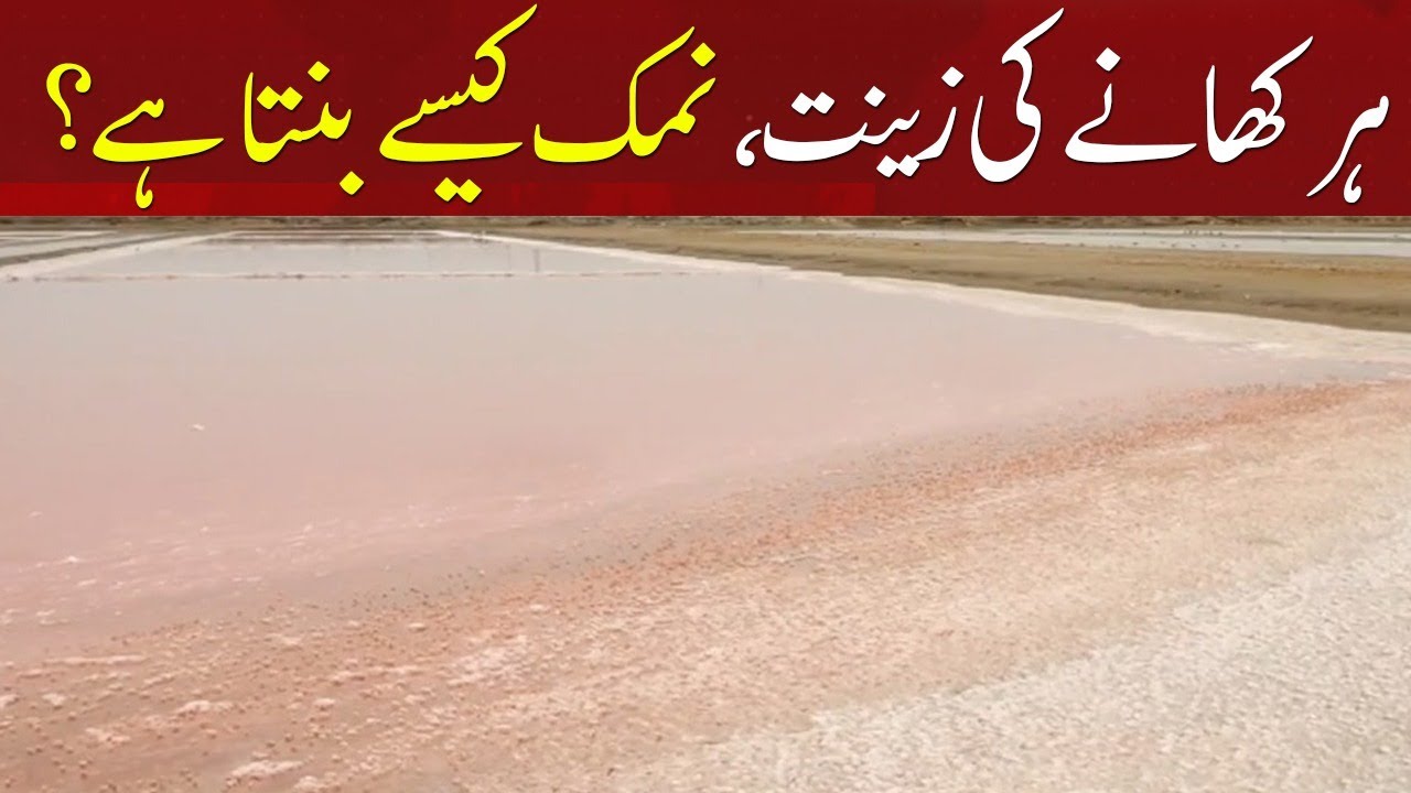The adornment of every food, How salt is prepared? - YouTube
