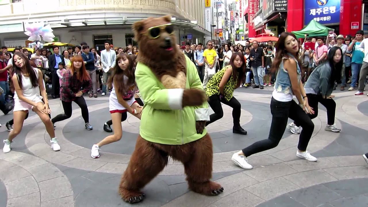 곰도 따라하는 강남스타일 / BEAR'S GANGNAM STYLE' - YouTube