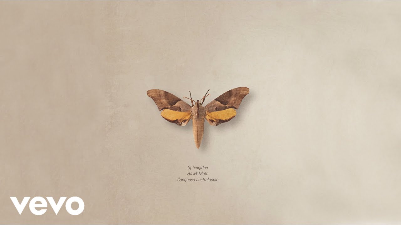 AURORA - All My Demons - YouTube