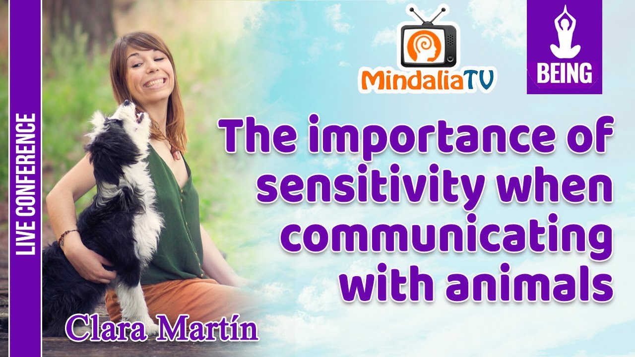 The importance of sensitivity when communicating with animals, by Clara ...