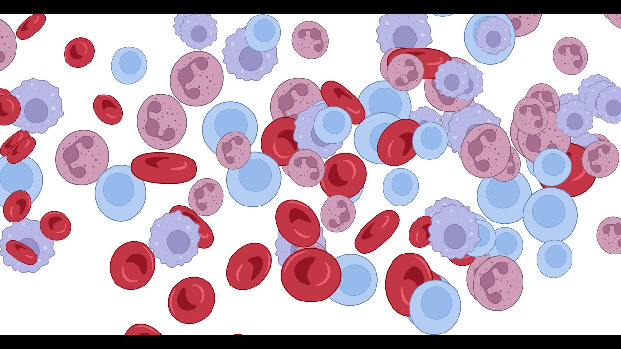 White Blood Cell Labelling - YouTube
