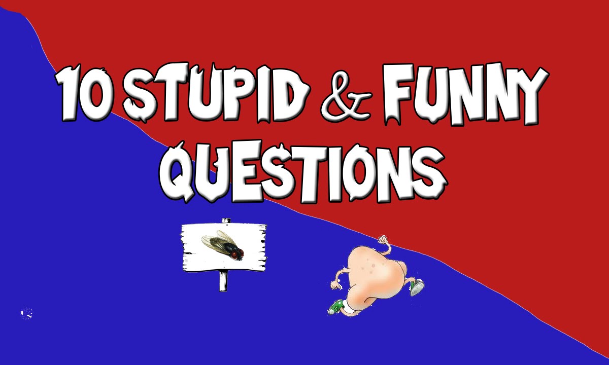 10 Stupid & Funny Questions! - YouTube