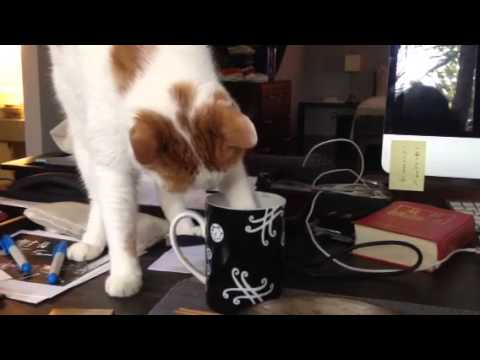 Morning Coffee ... mmm good... - YouTube