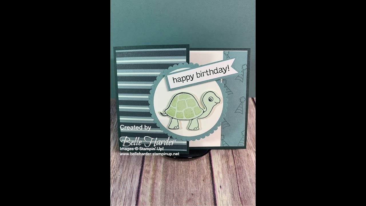 Turtle Friends Bundle - YouTube