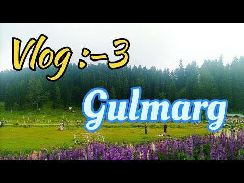 Gulmarg Kashmir | Gulmarg Tour Guide | Gulmarg in June - YouTube