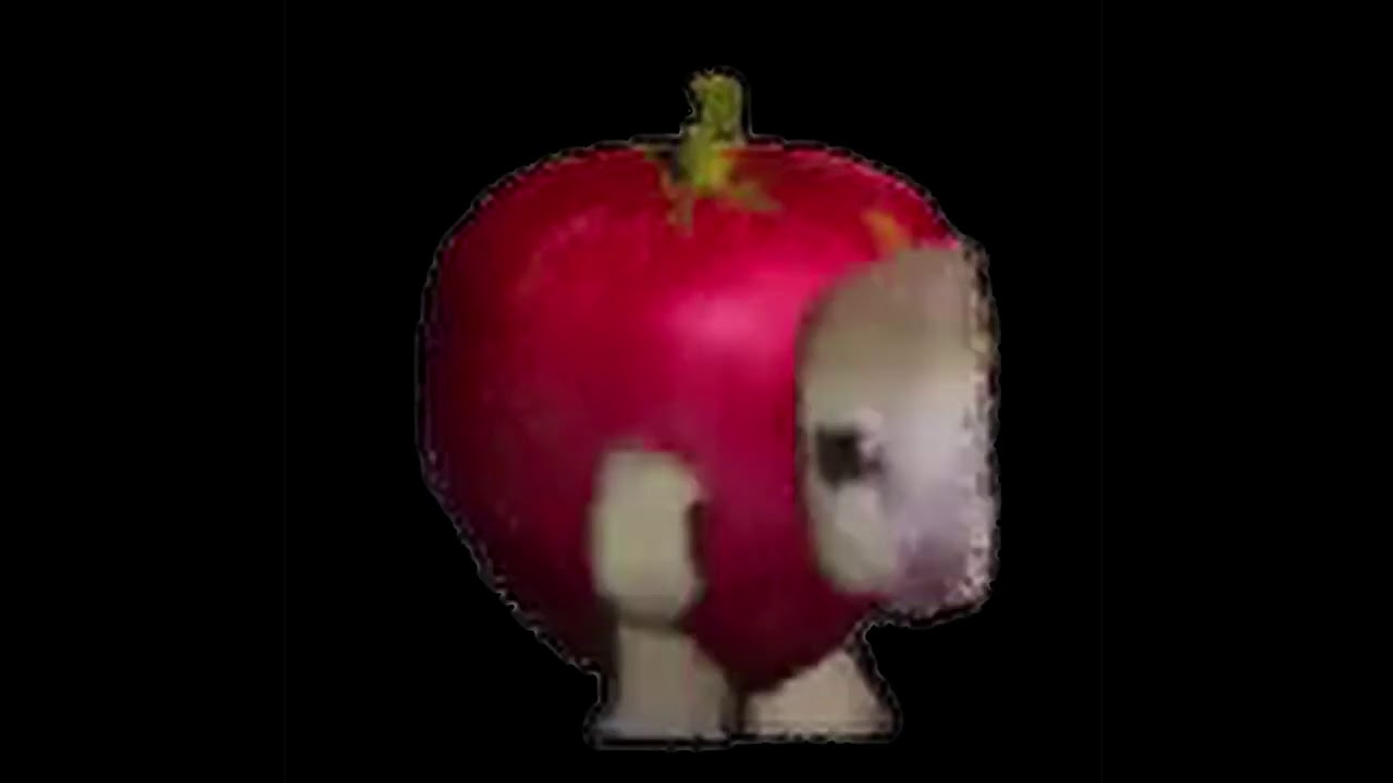 Apple cat spins.mp4 - YouTube