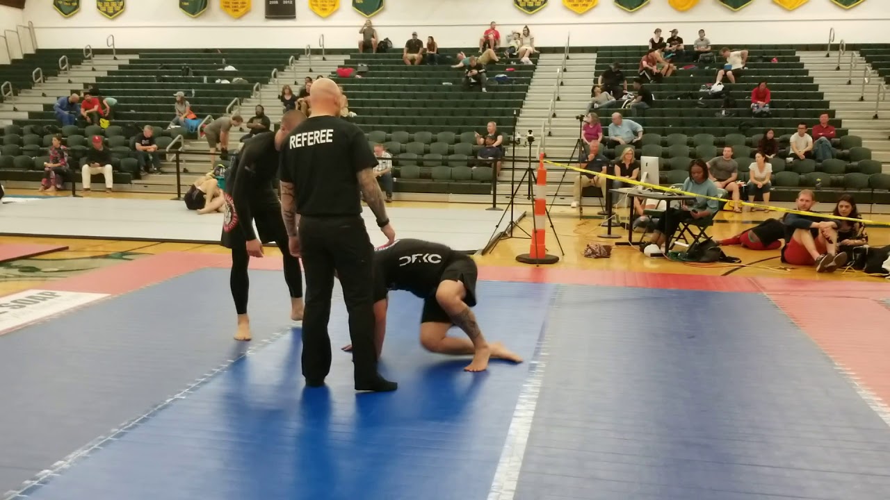 Stray Dogs Club - YouTube