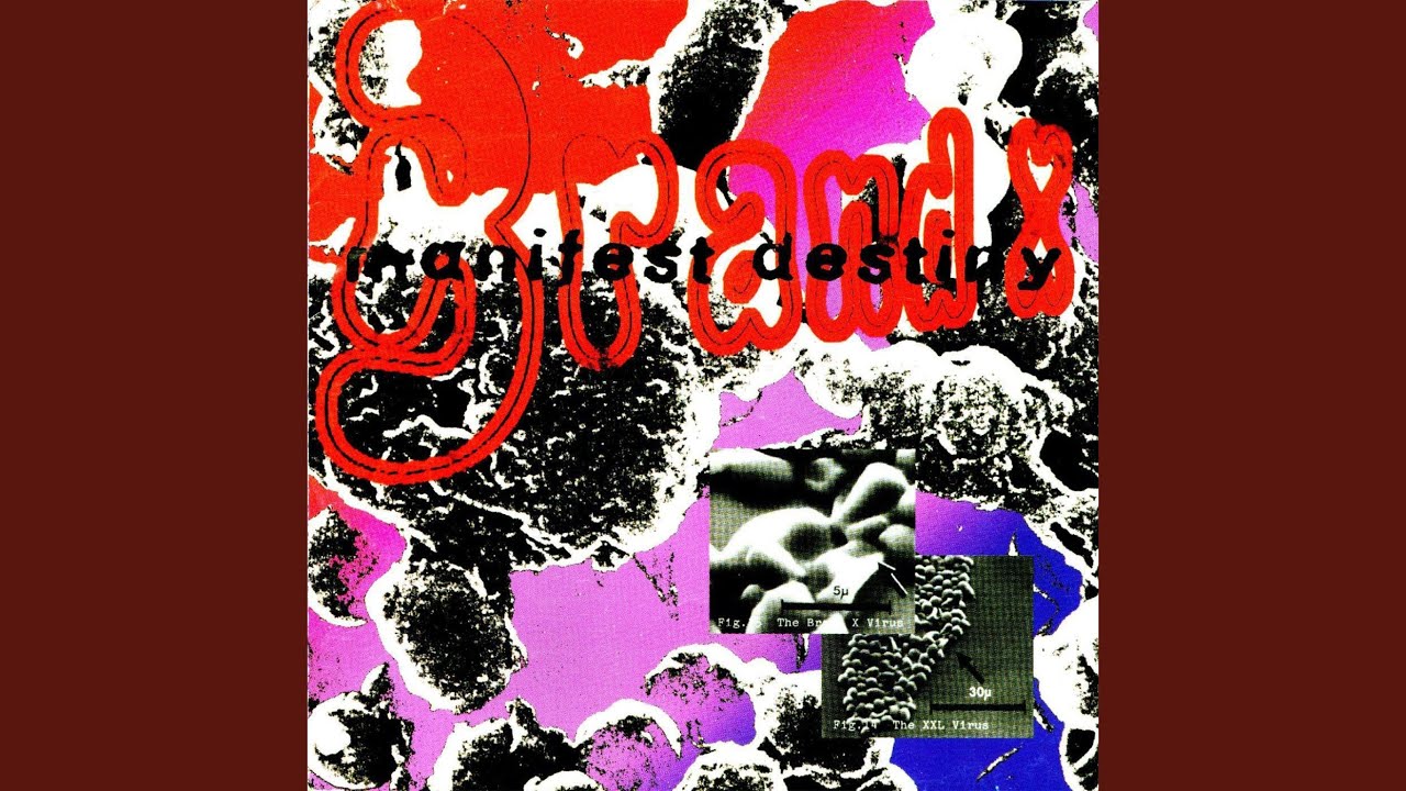 Stellerator - YouTube