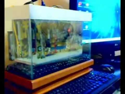 Filme aquario-PC - YouTube