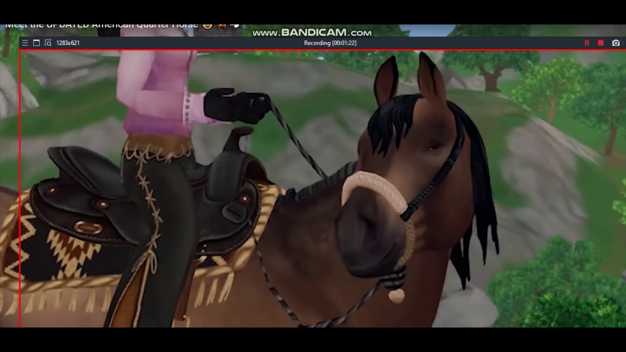 THE OLD AQH VS THE NEW AQH (STAR STABLE) - YouTube