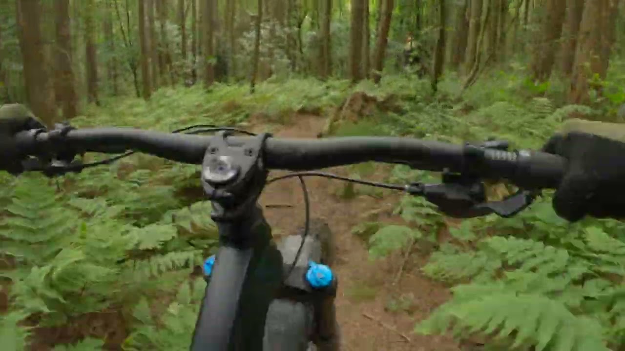 First GoPro 10 footage - YouTube