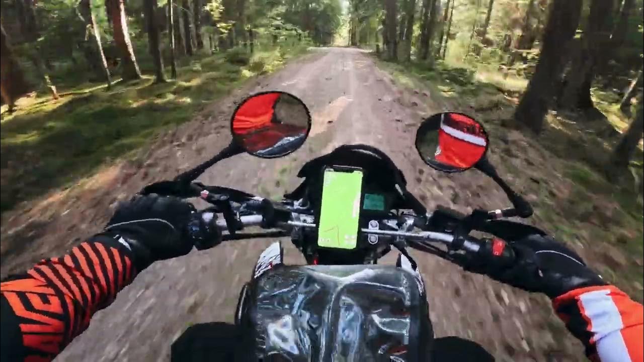 Evening Forest Ride on the Yamaha XT660R | Adventure on Two Wheels - YouTube