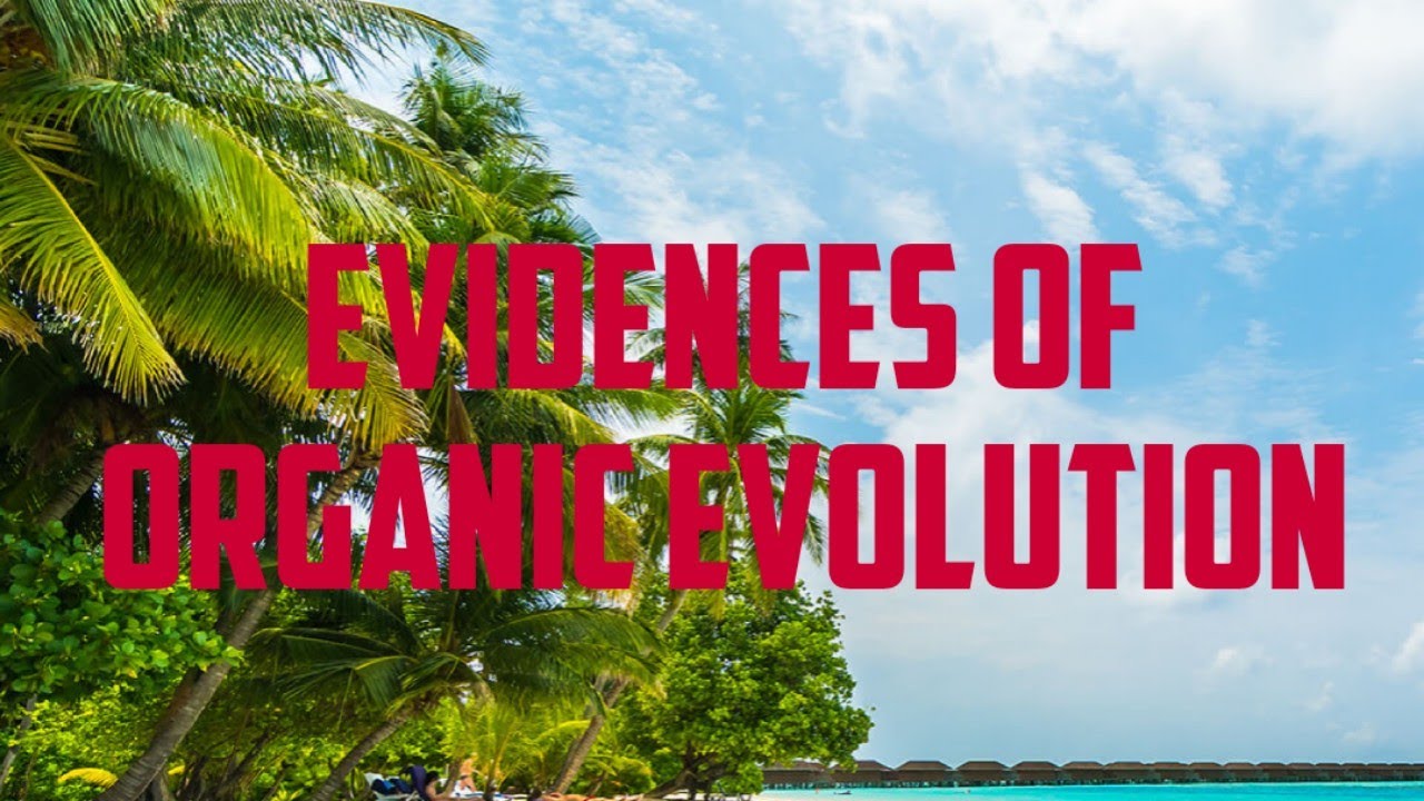 Evidences of organic evolution, Morphological and anatomical evidences ...