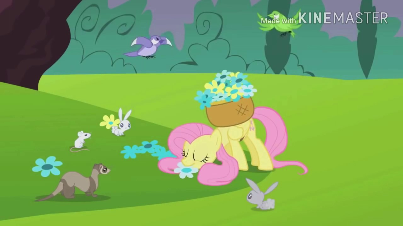 Scottish mlp - YouTube