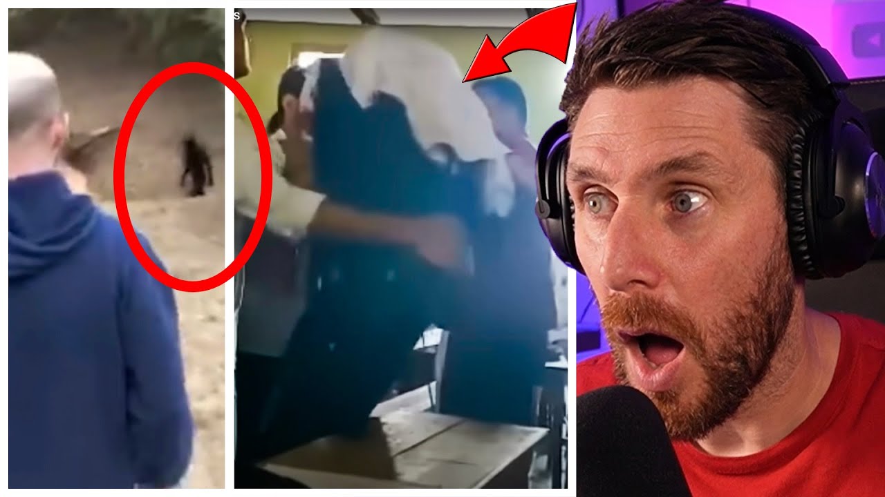 The Way These Paranormal Videos Hit - Goose Pimples - YouTube