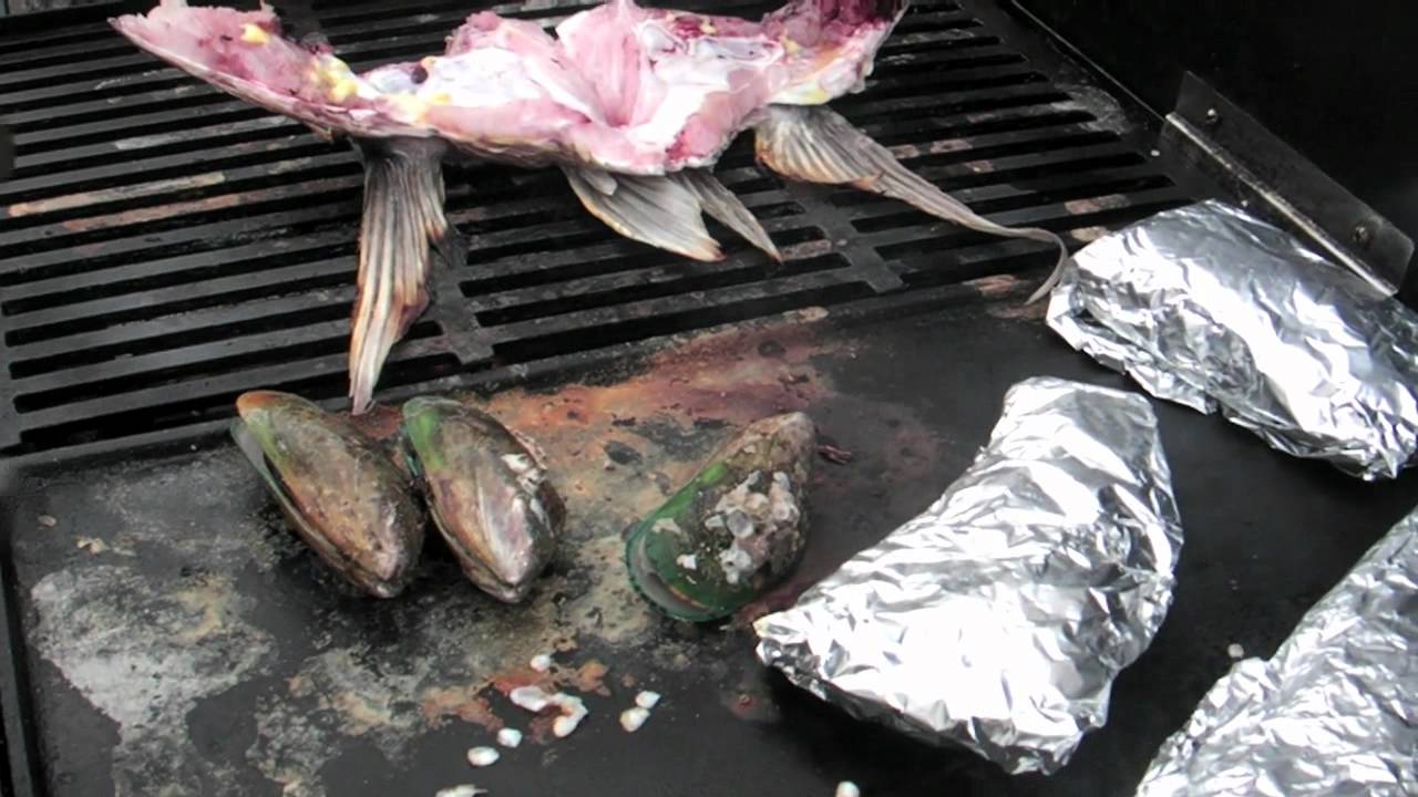 catch fish cook fish eat fish - YouTube