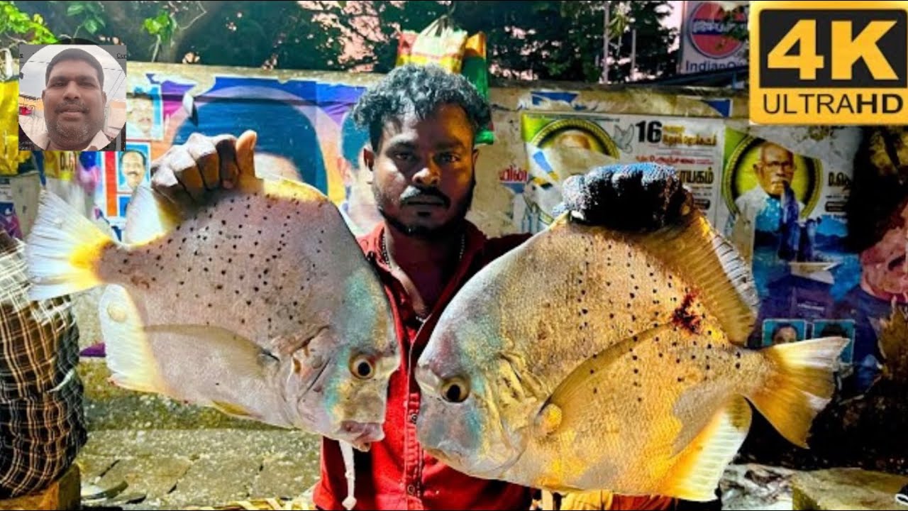 Taratta fish cutting video/fishcuttingrs#fish #fishcuttingrs #kasimedu ...