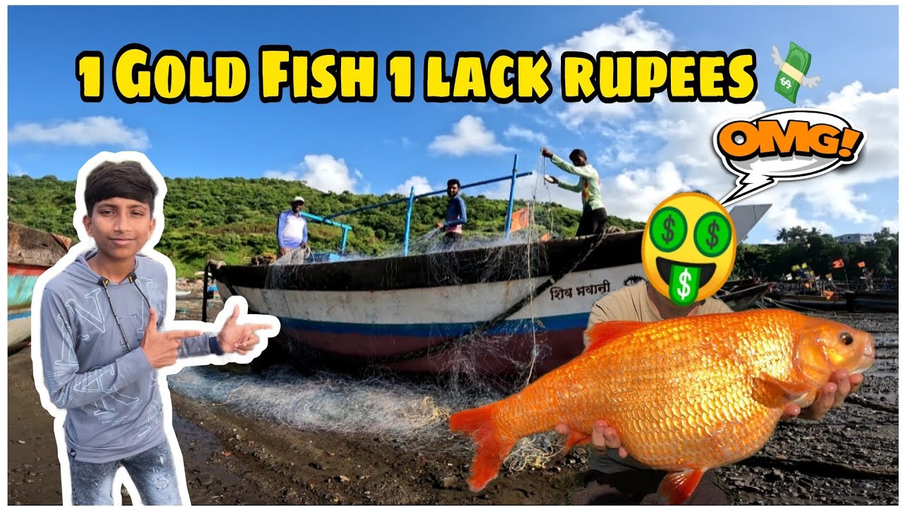 1 Ghol Fish 1 lack rupees 💸🐬😱 Fishing ke liye gye or popat hogeya 😔 ...