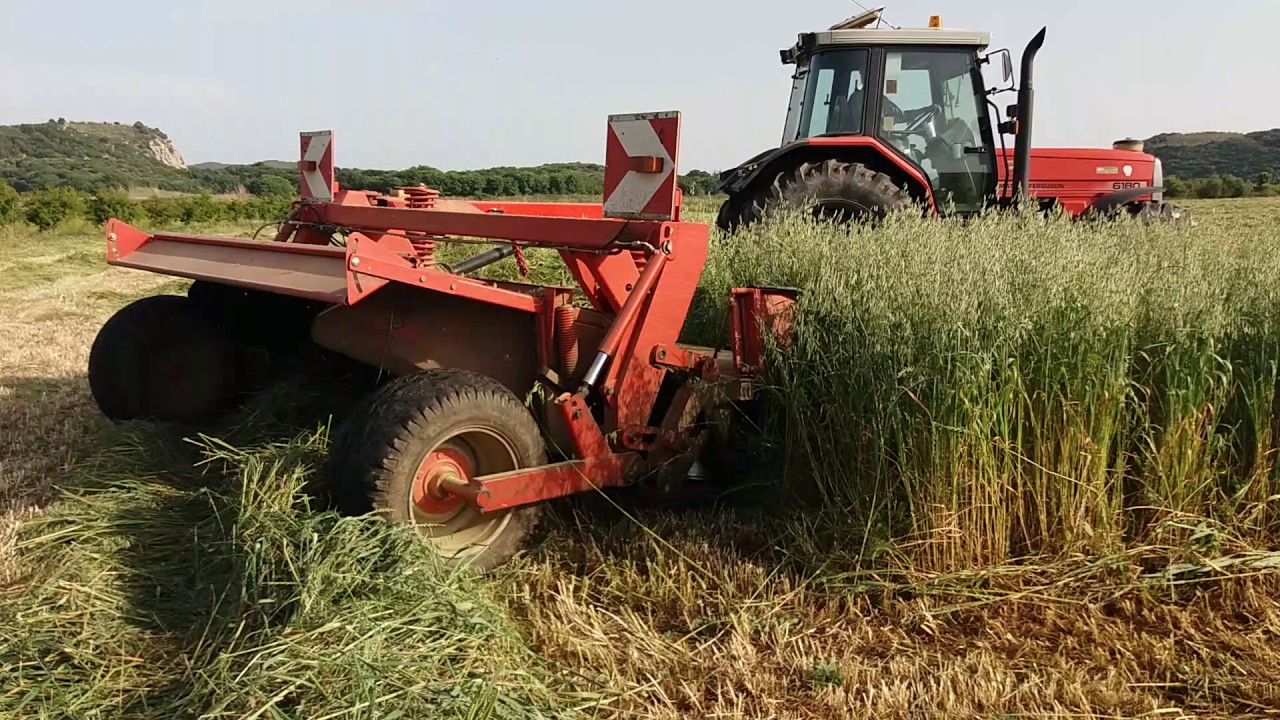 Massey Ferguson - Kverneland 4036 R Κοπη βρωμης Αστροβιτσα Αιτωλικο ...