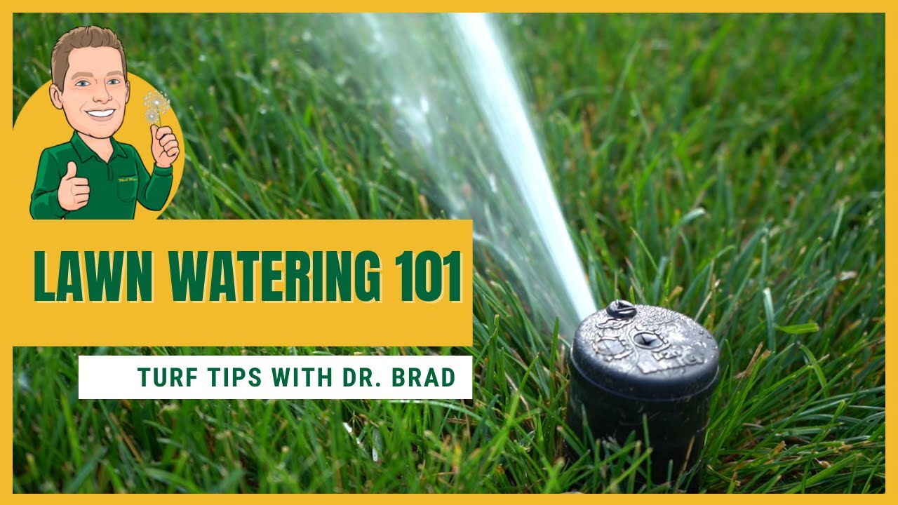 Lawn Watering 101: When & How Much? Preventing Drought | Turf Tips with ...