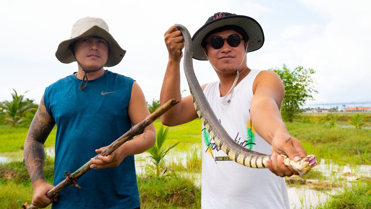 Amazing Catch And Grilled Big Snake | Eating Delicious - YouTube