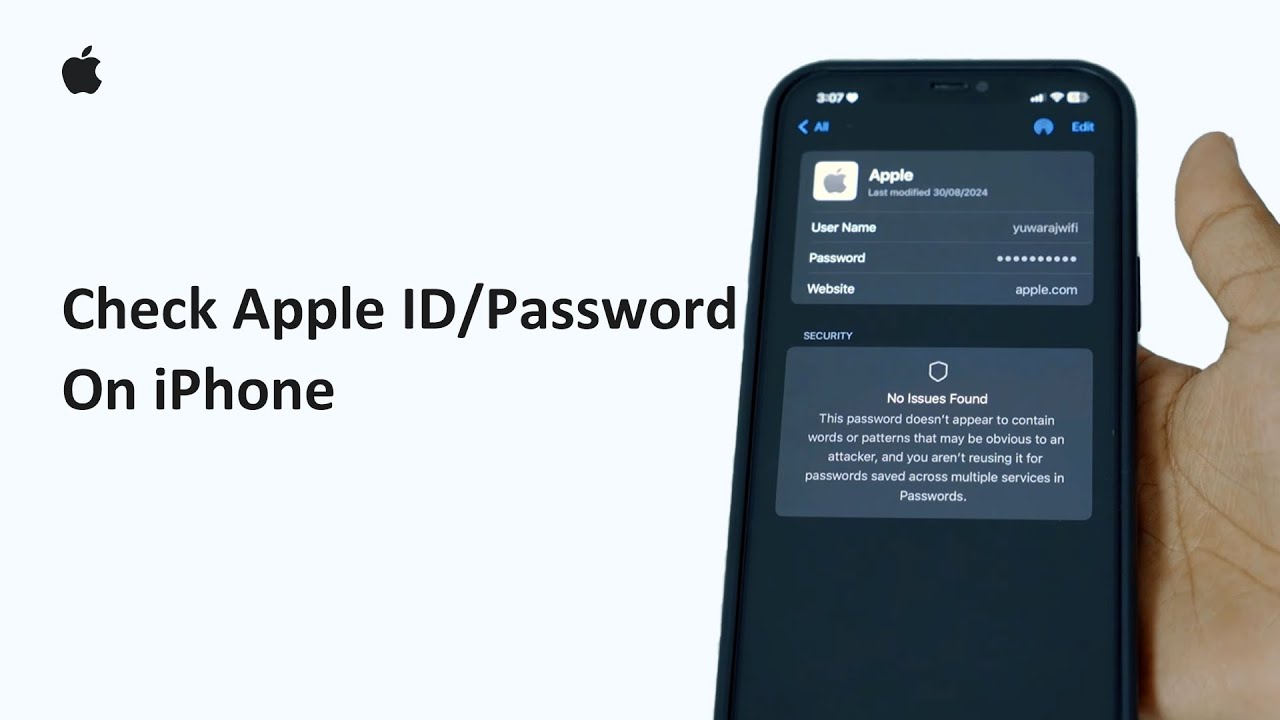 Check Apple ID/Password On iPhone 2025 | Apple ID Credentials Guide ...