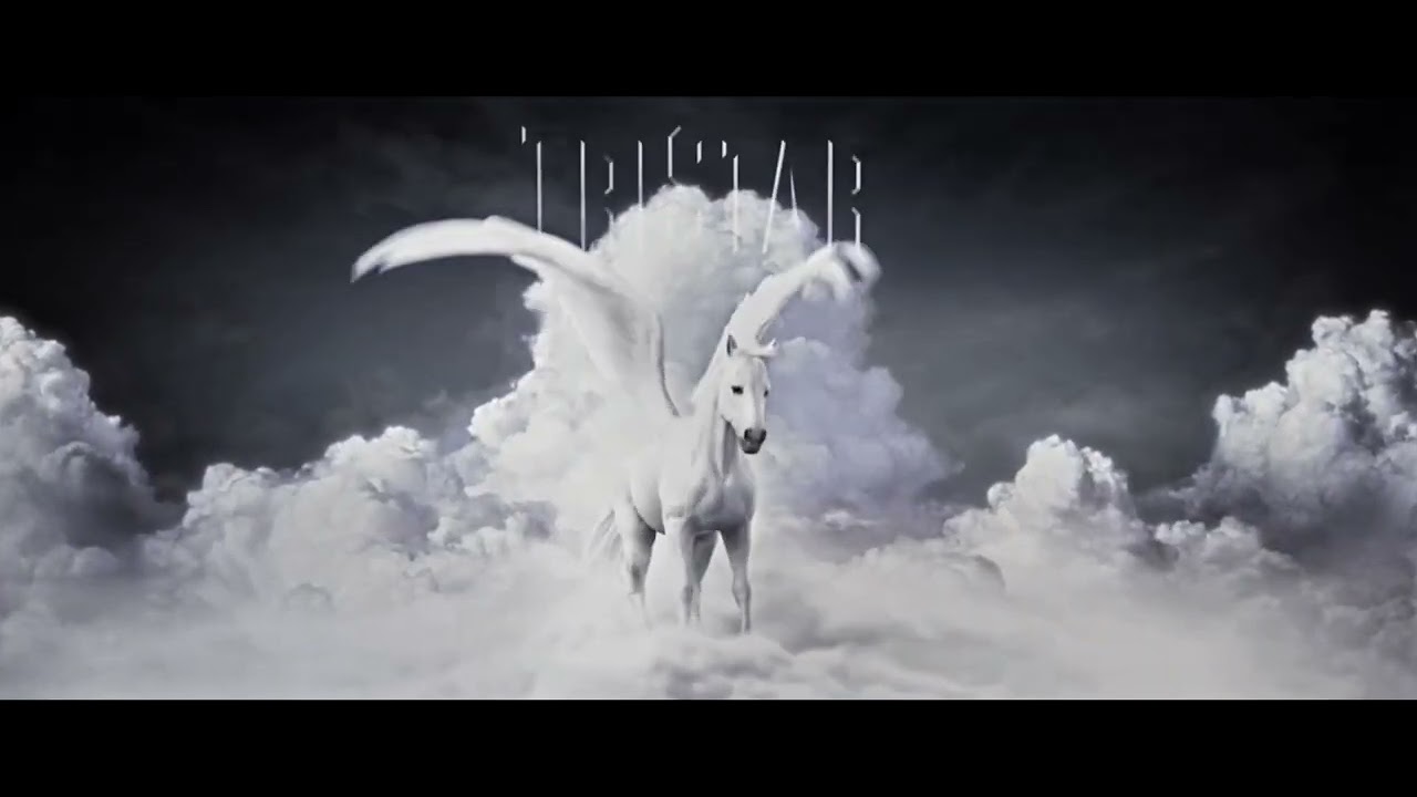 Sony/TriStar Pictures/Marvel/Sony Pictures Animation/Pascal Pictures ...