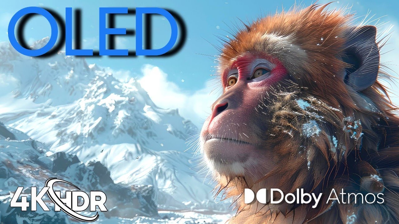 Feel Every Pixel – Stunning 4K HDR Dolby Vision at 60FPS on OLED - YouTube