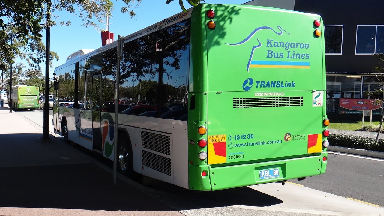 Kangaroo Bus Lines KBL 88 - Denning "Phoenix" Low-floor (Allison ...
