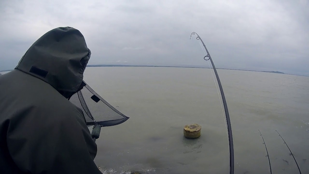 Lake Balaton Carp Fishing '17 - YouTube
