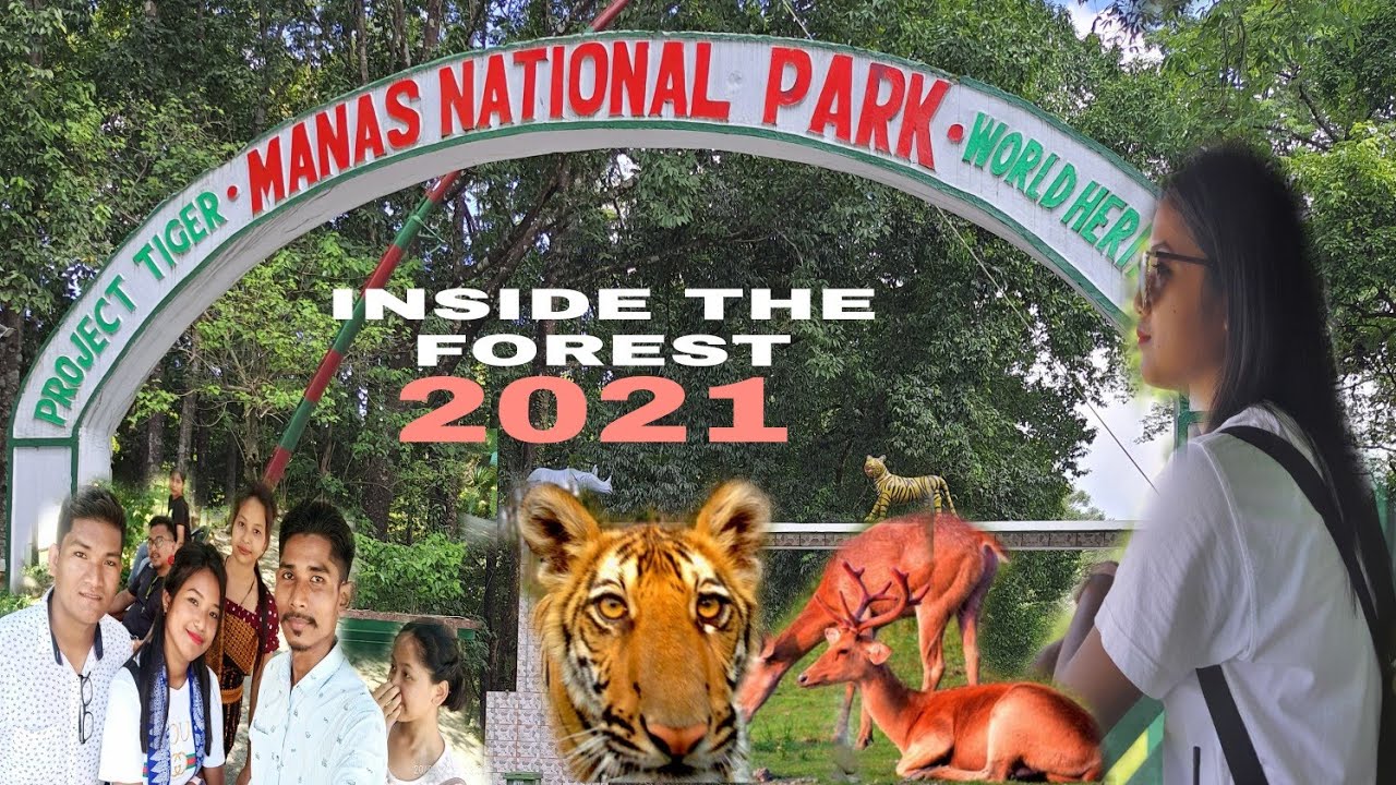 Manas National Park in 2021/Manas/ Picnic/Tiger Project Manas/Manas ...