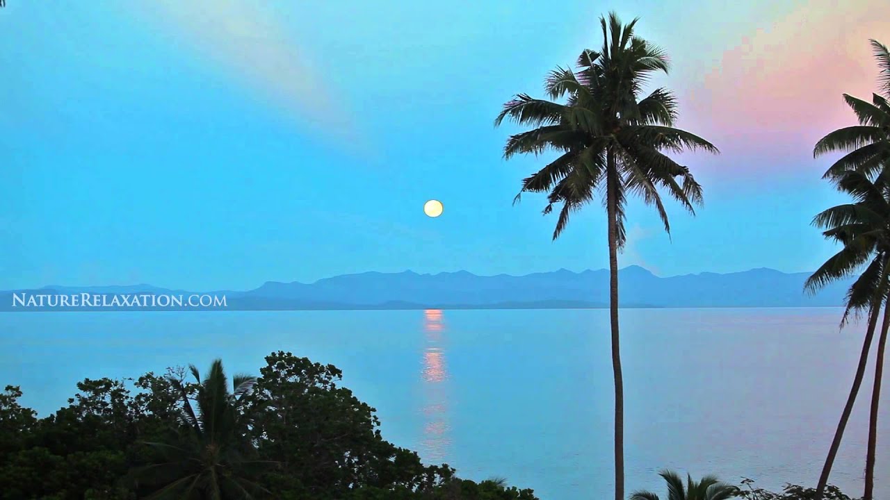 "Moon of Heaven" Tropical Moonset at Sunrise (Just Nature Sounds) 1080p ...