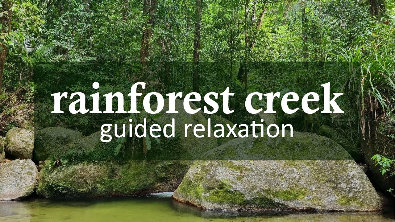Rainforest Creek - Guided Relaxation - YouTube