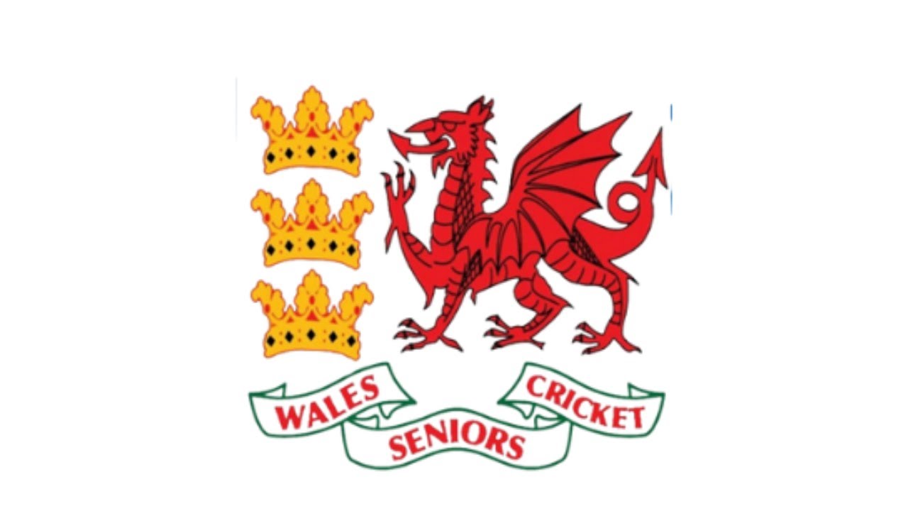 ENGLAND 40+ v WALES 40+ PANTEG CC, 2023 - HIGHLIGHTS - YouTube