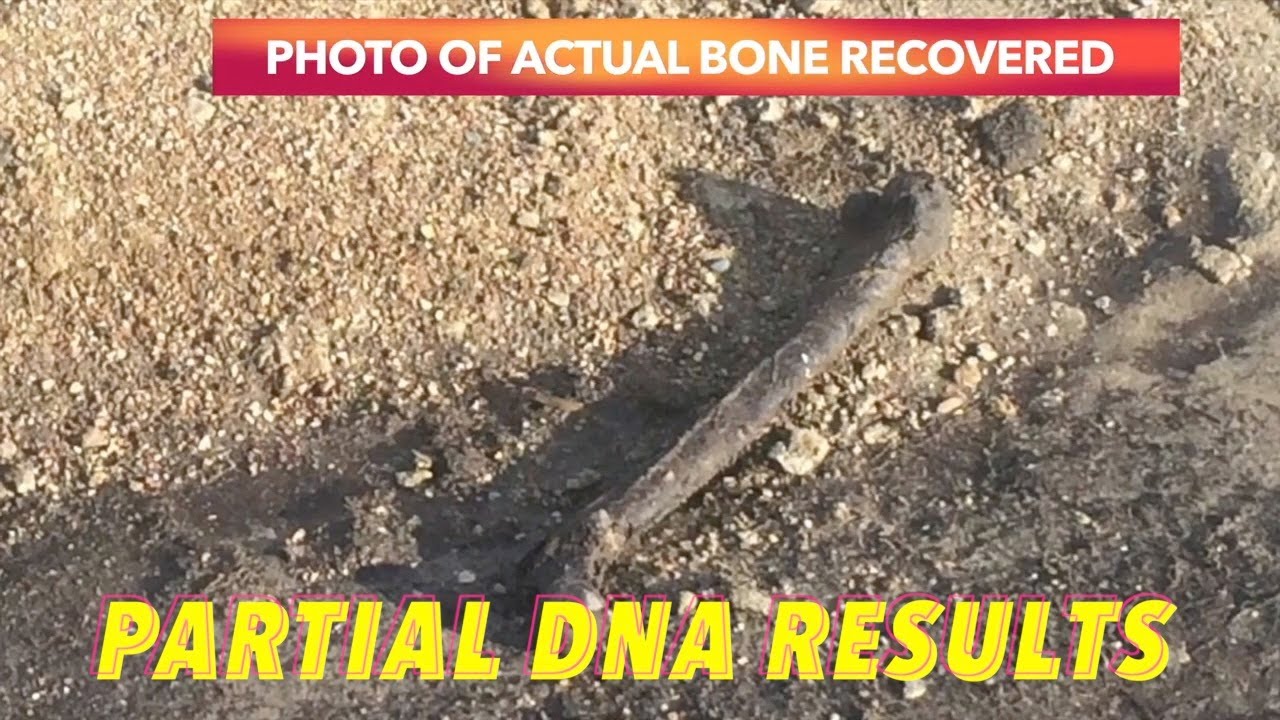 Partial DNA Results Of Human Bone Found By Warren, MN - YouTube