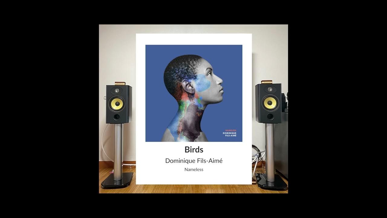 K2 906 Birds 비청 - YouTube