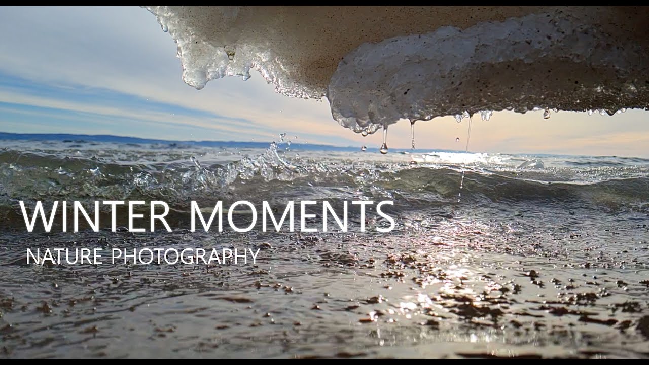 Winter moments 2021 - Cinematic nature photography - YouTube