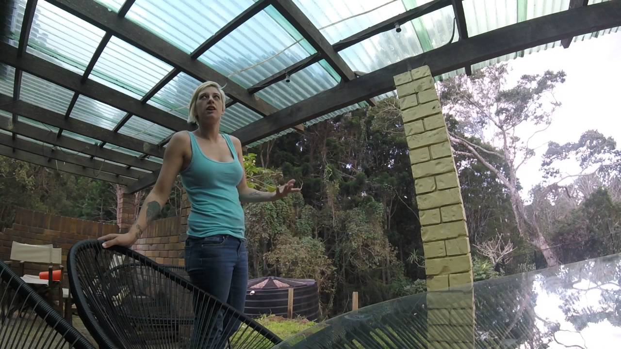 cranky carpet python in currumbin - YouTube