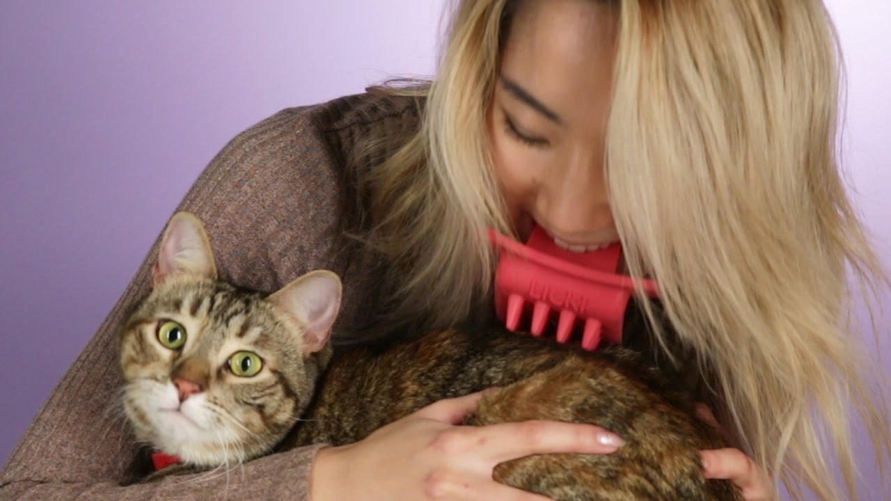 10 Increíbles productos para mascotas - YouTube