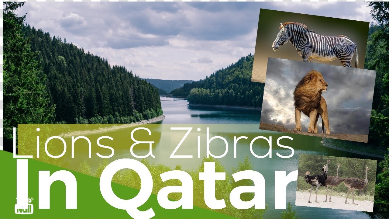 Qatar ZOO |Alkhor Park .. must watch - YouTube