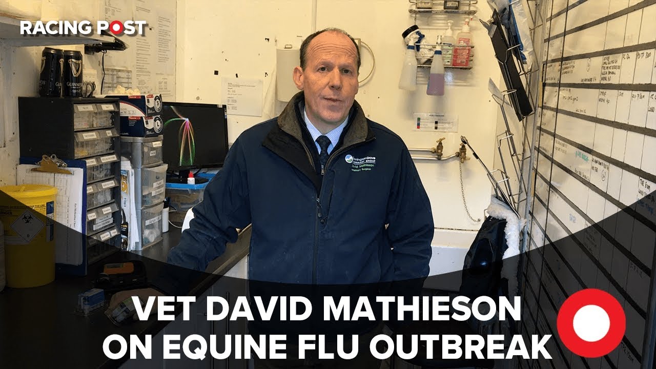 Veterinary surgeon David Mathieson explains the equine influenza ...