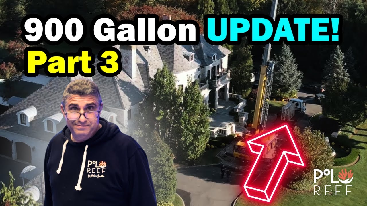 900 GALLONS - Plumbing, Water and Rock work - You judge the aquascape ...