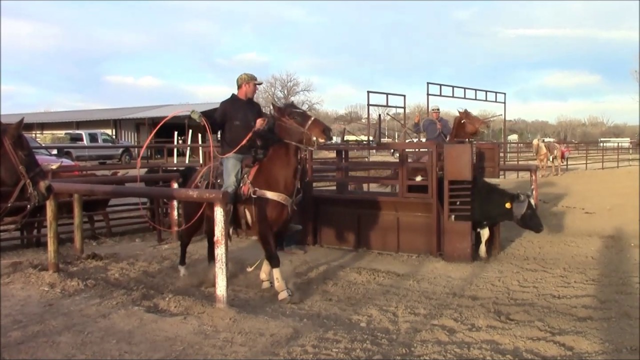 Shorty Roping - YouTube