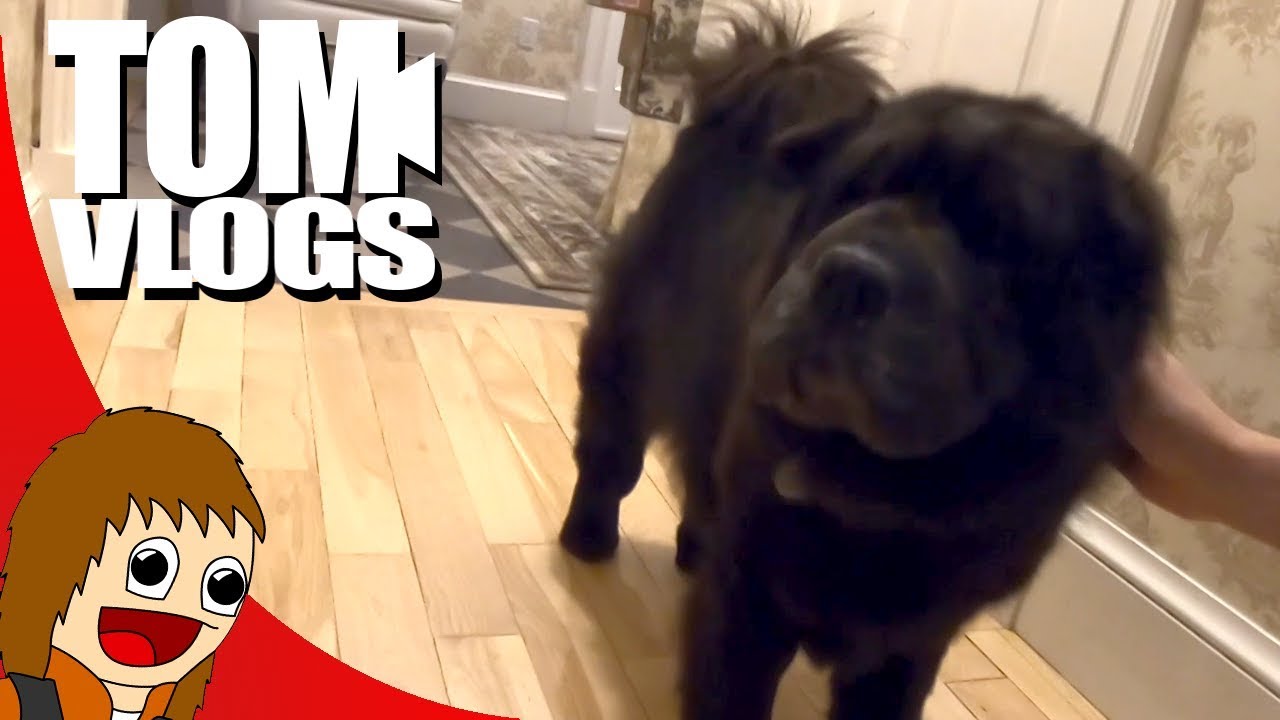 Tom Vlogs: I'll Be Home For Christmas (December 16, 2018 - December 22 ...