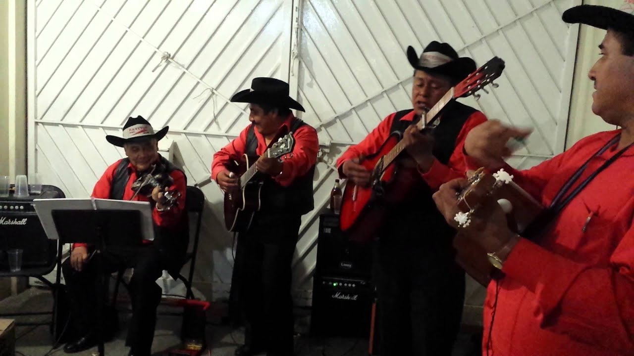 rayitos del sur con violin - YouTube